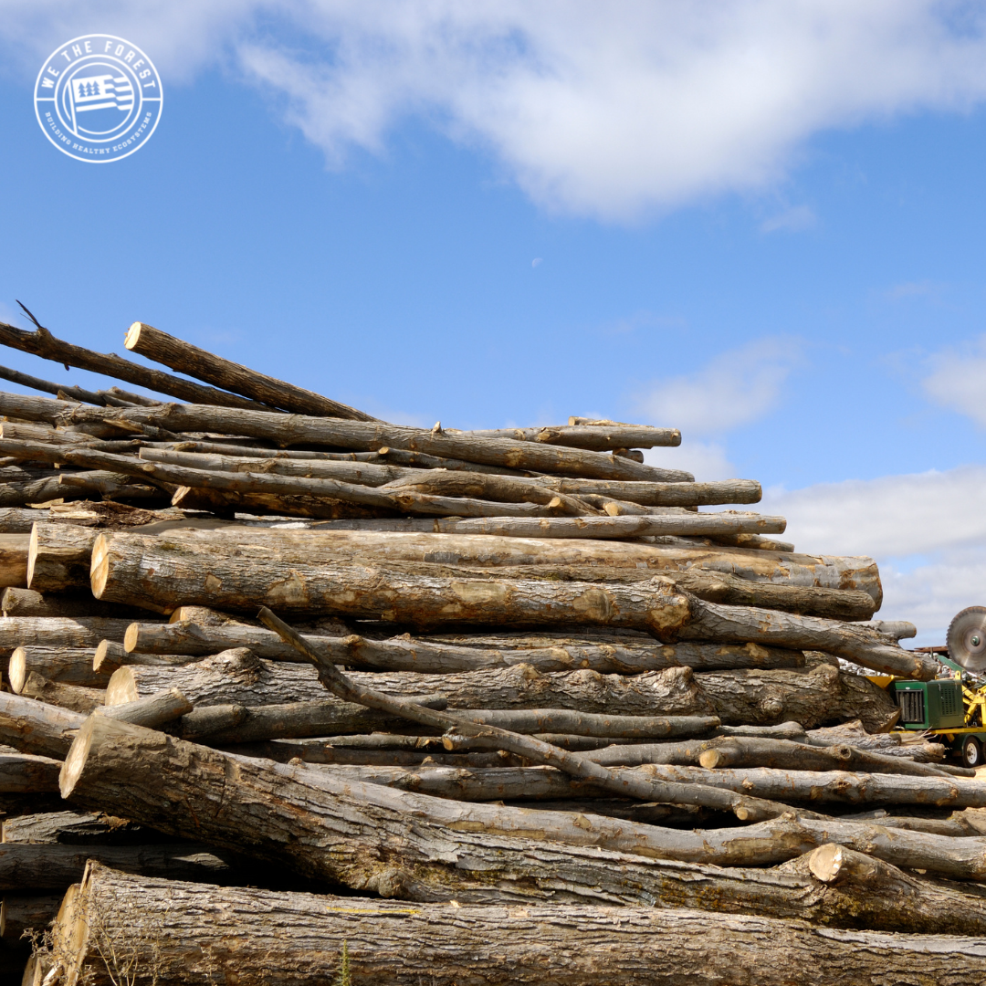 Oregon's climate change and carbon plan lack data and fiscal responsib ...